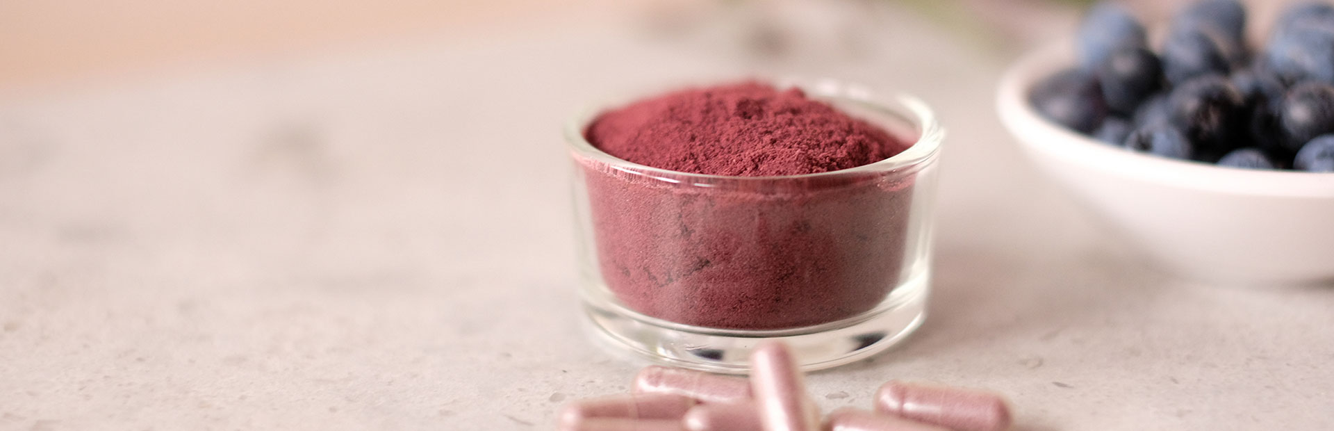 Organic Wild Blueberry Powder from Canada | Blue d'Or™ PureWild